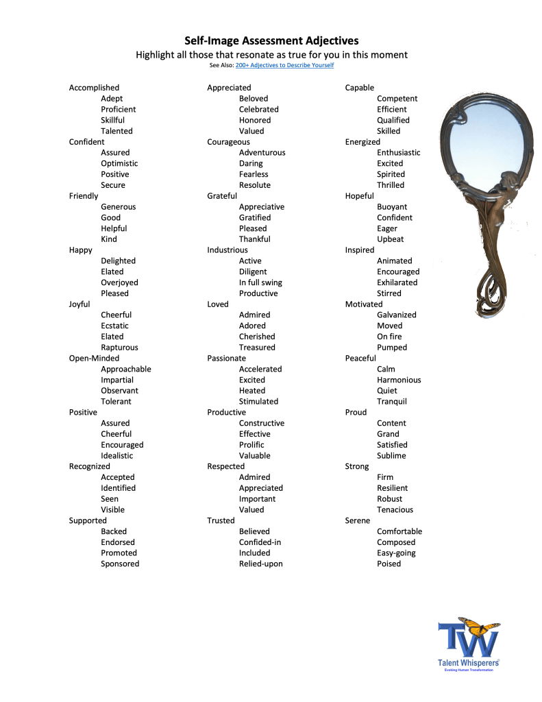 Self-Image Assessment - Talent Whisperers®